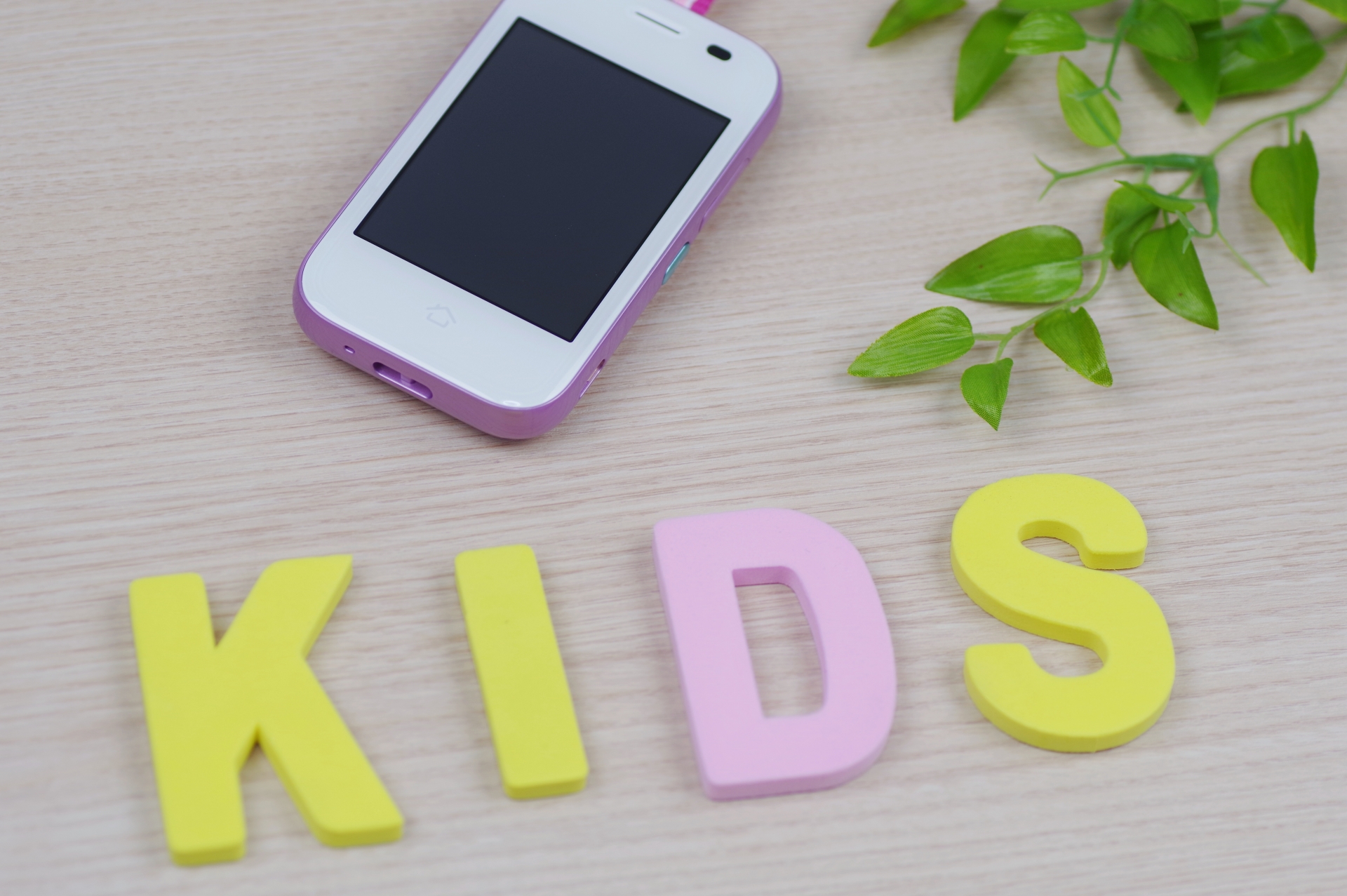 サービス | Davinci Box（ダビンチボックス